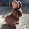 Crochet Pattern Realistic Mini Bunny Rabbit Amigurumi English PDF ...