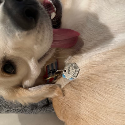 Dog Tag, Dog Tags for Dogs, Dog Tags, Pet Id Tag, the Tardis, Phone ...