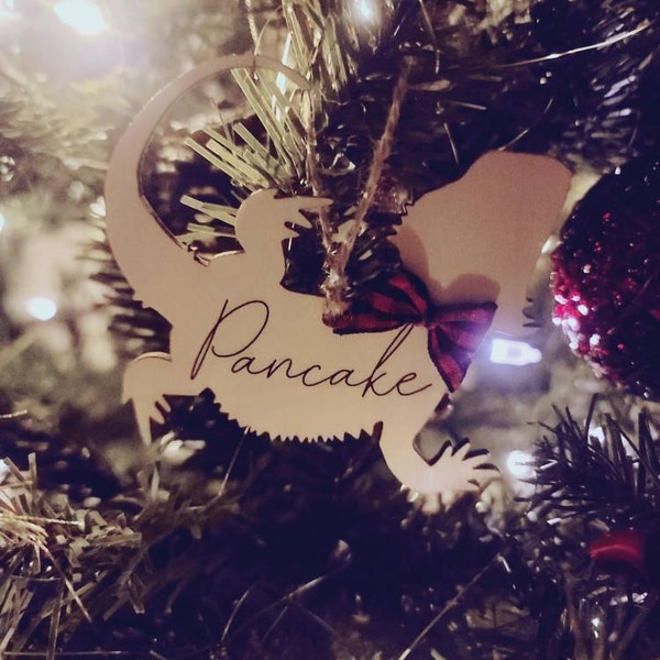 Centipede Scolopendra Centipedes Invertebrates Arthropod Chilopoda Drop ...