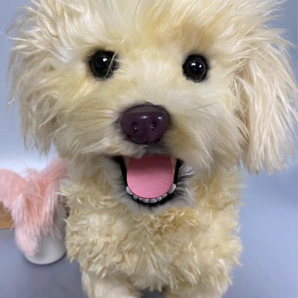 Custom Life Like Dog Plushie Clone - Etsy