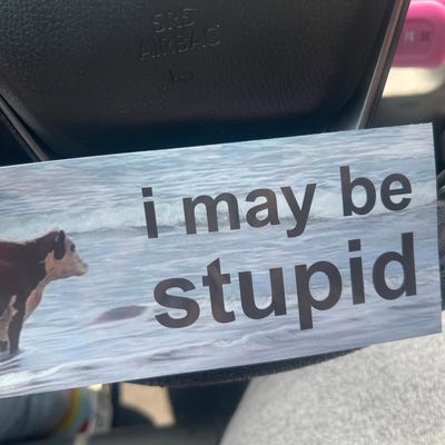 I May Be Stupid Bumper Sticker Meme Sticker Water Resistant Vinyl ...