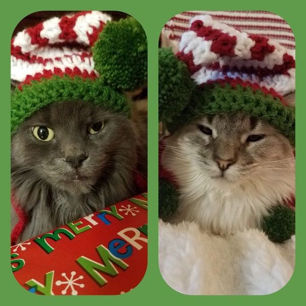 Elf Hat for Cats, Cat Elf Hat, Holiday Cat Hat, Christmas Hat for Cats ...
