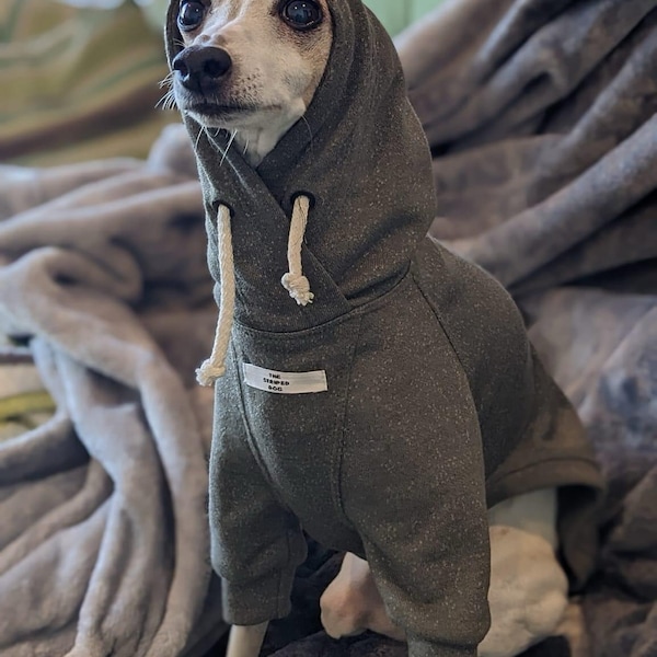 Italian Greyhound/whippet Navy Blue Hoodie With Stripes, Dog Clothes ...