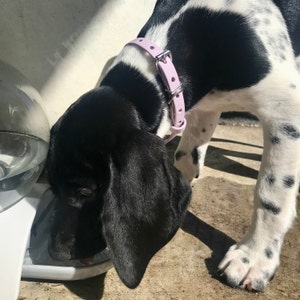 Bringsel Alert Biothane Vegan Leather Made to Order 20 - Etsy