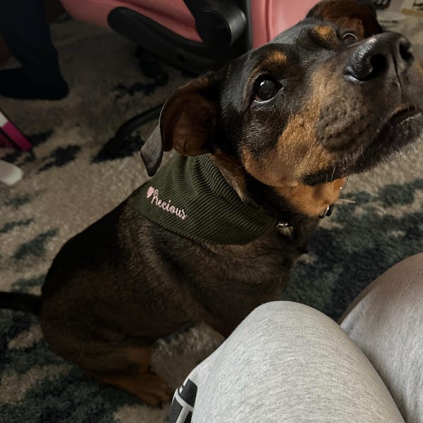 Habit Tracker (PRINTED) - Etsy