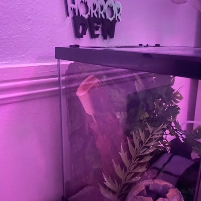 1:5 Scale Replica Continental R-670 Radial Engine Kit PT-17 - Etsy