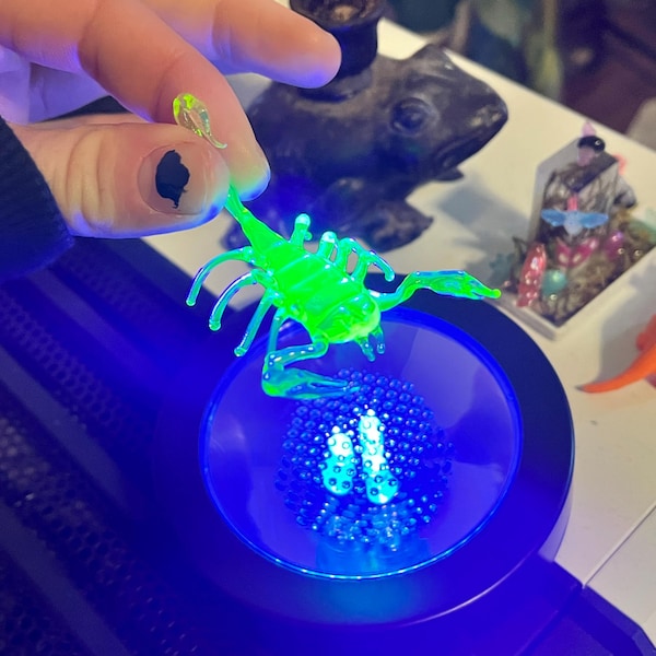 The Lizard Glass Salamander Figurine Blown Glass Lizard Hand Blown ...