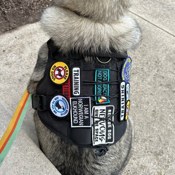 Nervous Dog Patch | Ask to Pet Patch | Dog Vest Patches | Hook Fastener ...