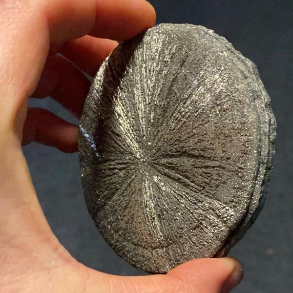 Rare and Unique Agoudal Meteorite Specimen, Grams, Iron Meteorite ...