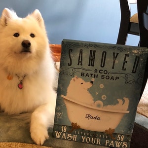 Samoyed Dog Bathroom Bath Tub Art Gallery Wrap OR Canvas Panel by ...