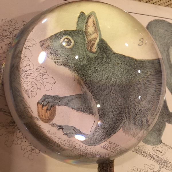 Juniata Park Map, Northeast Philadelphia Map, Fairhill Map, Original ...