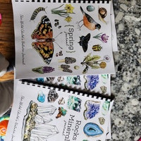 Frogs and Toads Nature Journal Pack - Homeschool Printable Charlotte ...