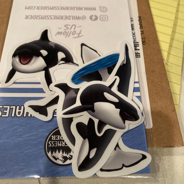 Orca Sticker Pack Killer Whale Vinyl Decal Marine Life Stationery Gift ...