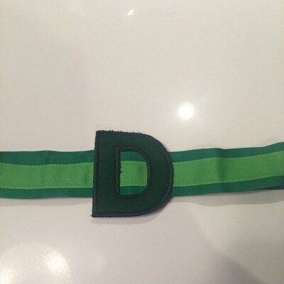 DISGUST BELT Girls/ Teen/ Adult/ Child Inside Out Disney Pixar ...