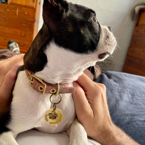 The Emma 007 Bow Pet ID Tag Small Dog Cat Feminine Unique Handstamped ...