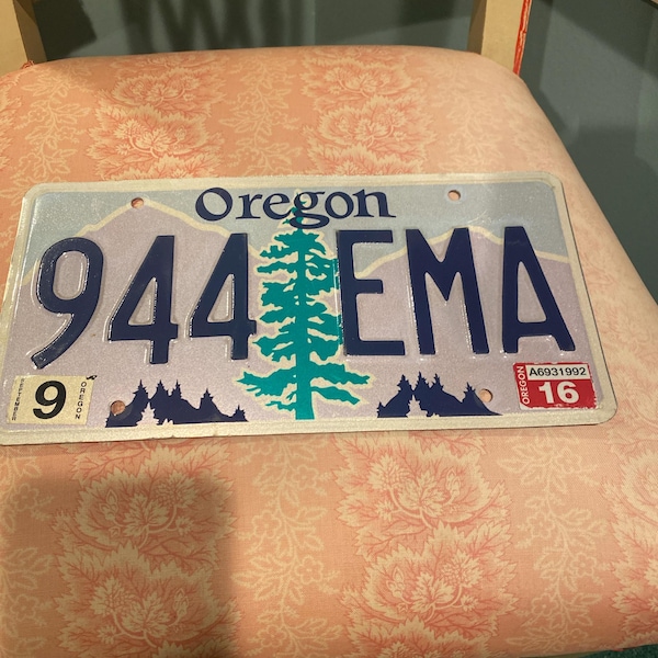 SETS of RUSTIC License Plates-from Different States but Have Appealing ...