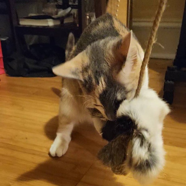 Hemp Fabric and Feathers Cat Kicker Toy With Catnip by Your Choice ...