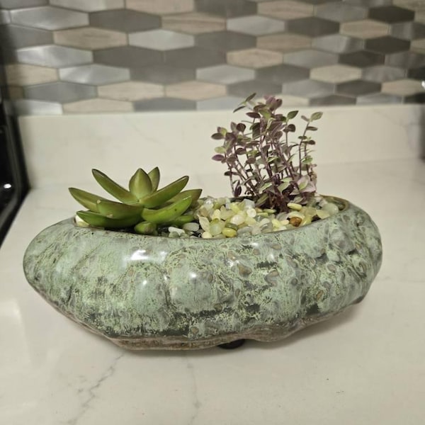 Premium 2-in-1 Aqua Planter Pot Bonsai Lotus Pot, Succulent Planter ...