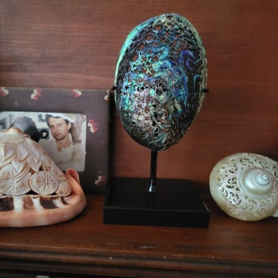 Hand Carved Pearl Mussel Clam Shell XL Size,hummingbird Theme,real and ...