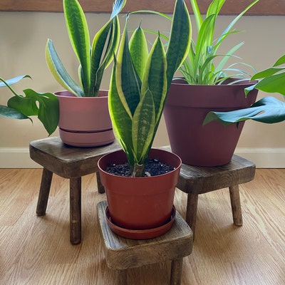 Rustic Wooden Plant Pot Stand Family - Etsy