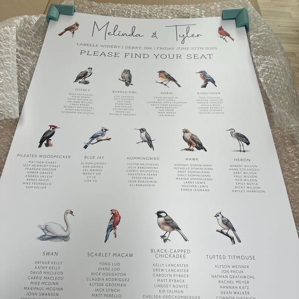 Bird Wedding Seating Plan, Animal Wedding Seating Chart, Bird Spotting ...