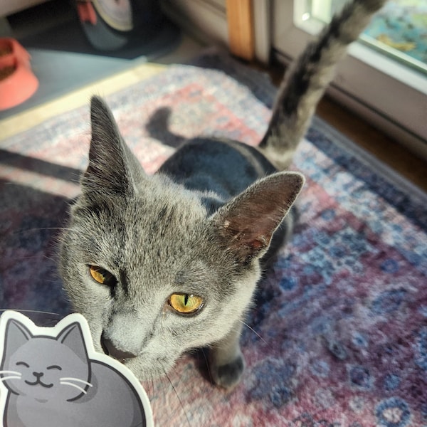 Siamese Cat Loaf Sticker; Waterproof Dishwasher Safe Matte Vinyl ...