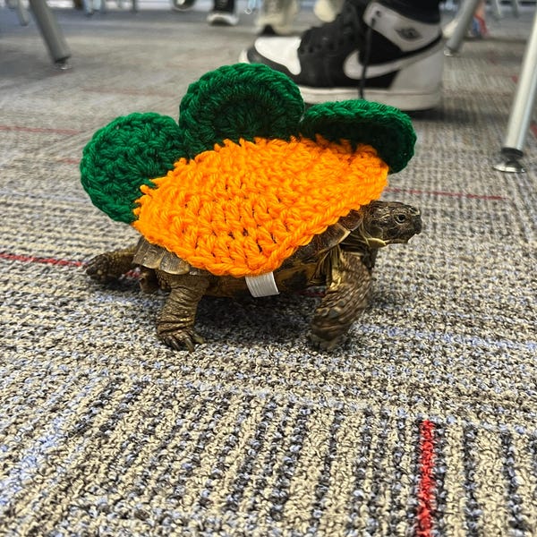Basketball Crochet Costume for Turtles/ Tortoises - Etsy