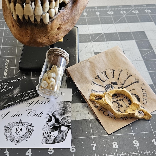 Realistic Human Skull Replica Life-size, Dark Tones, Anatomical Decor ...