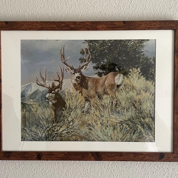 Vtg New Unused Cafe Curtain Rod Rings, 1 Inch Inside Diameter // Kirsch ...