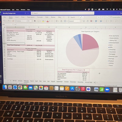 Rose Pink Annual Budget Excel Spreadsheet Google Sheet Digital File - Etsy