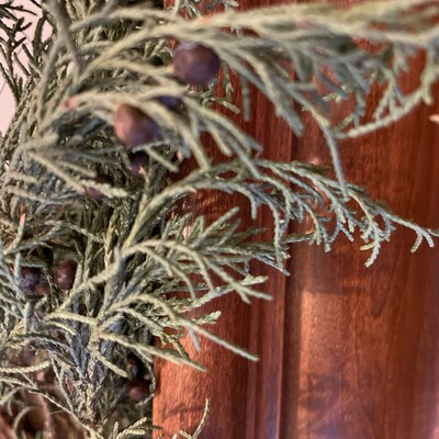 Hand Picked Nature Wild Native Sage Bundle - Etsy