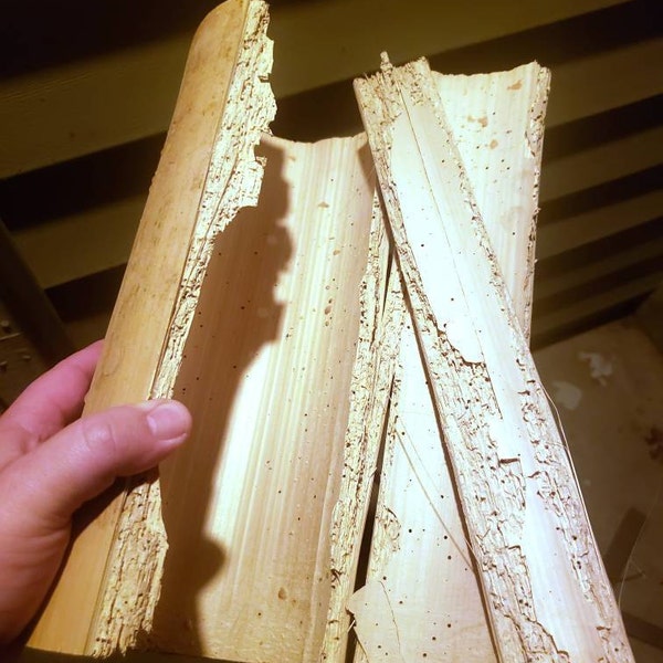 Large and Extra-large Bamboo Poles 5/8"-7/8" Thickness, 3"-7" Diameter ...