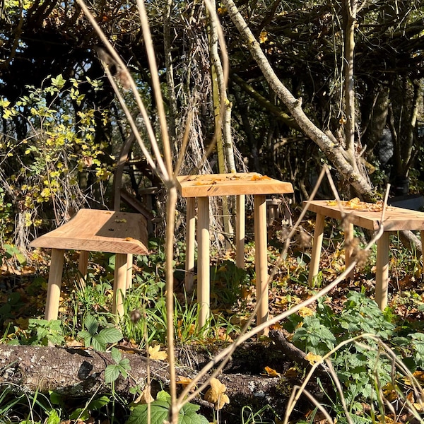 Viking Bog Chair Stargazer Camping Chair - Etsy