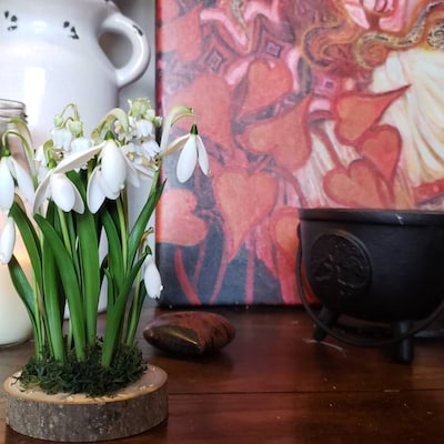 Snowdrop, Cold Porcelain Flowers, Real Touch Flowers, Artificial ...