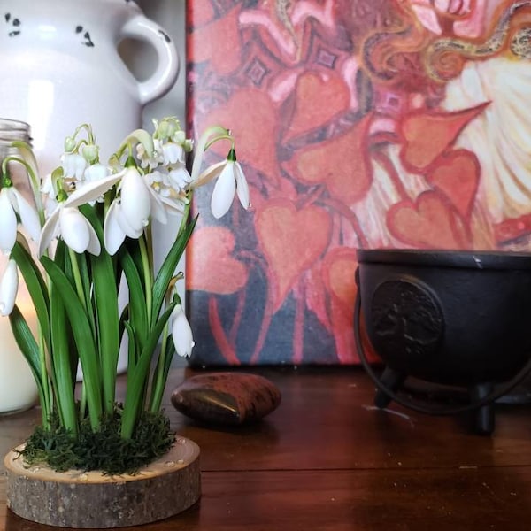 Snowdrop, Cold Porcelain Flowers, Real Touch Flowers, Artificial ...