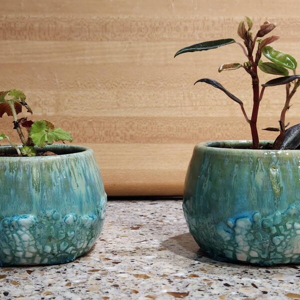 Ocean Coral Succulent Planters - Small Pottery Planter - Mini Succulent ...