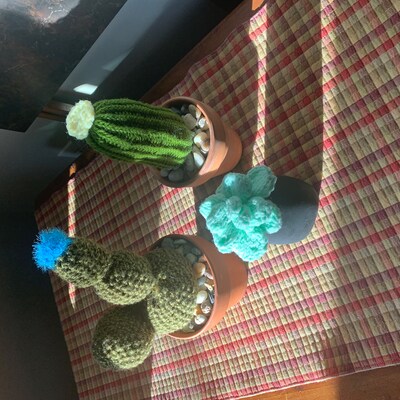 PATTERN PDF: Knitting Pattern Digital Download Succulent Plant, Home ...