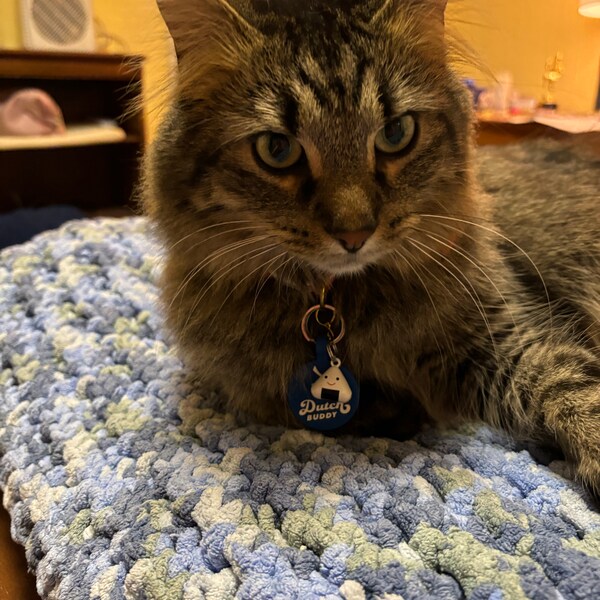 Cat Bells - Special Character Jingle Bells - Cat Collar Bells - Extra ...