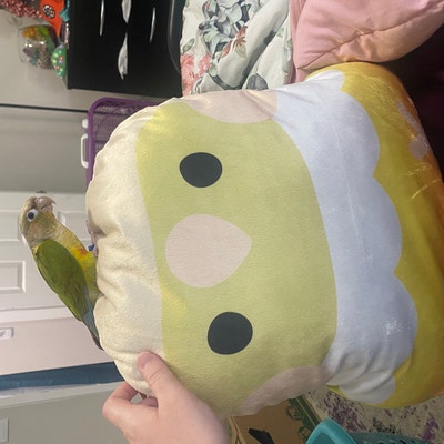 Birb Seat Pillow Case stuffing is Not Included, You Need to Get Filling ...