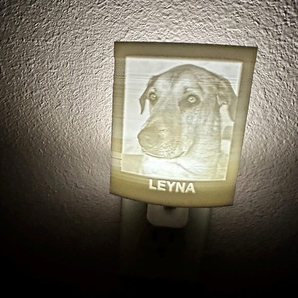 3D Printed Pet Photo LED Night Light, Personalized Pet Sympathy Gift ...