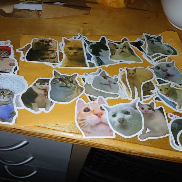 10-50 Cat Meme Stickers Kitty Faces Cute Cats - Etsy Australia