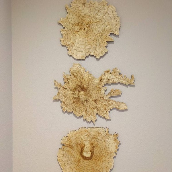 Mt Hood Topography Wooden Wall Art • Pacific Northwest Decor ...
