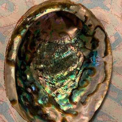 Large Abalone Shell, Colorful Abalone Shell, Natures Painting in a ...