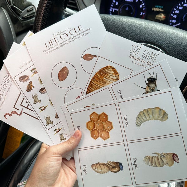 Flowers Mini Study Unit: Life Cycle & Anatomy (instant Download) - Etsy