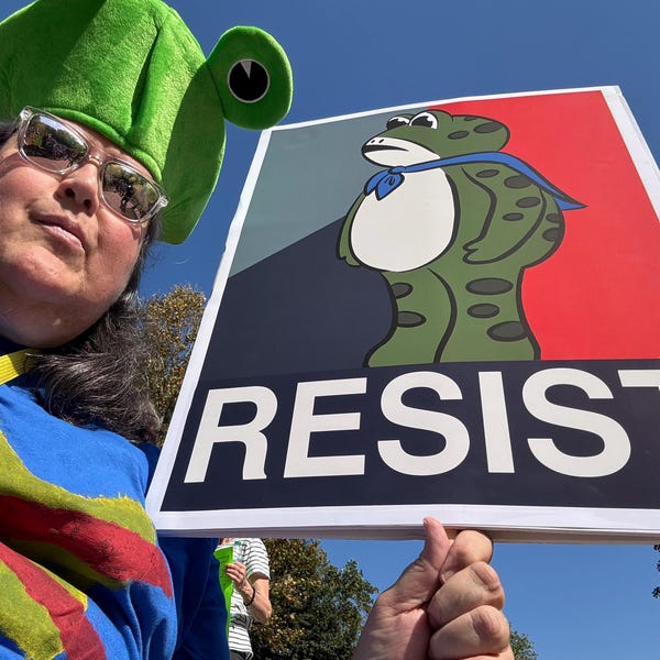 Wicked Elphaba and Glinda Pumpkin or Embroidery Stencil Easy Instant ...