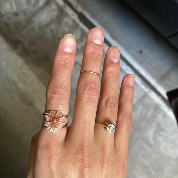 Kauai Opihi Shell Cocktail Ring in 14k Gold Fill or Sterling Silver - Etsy