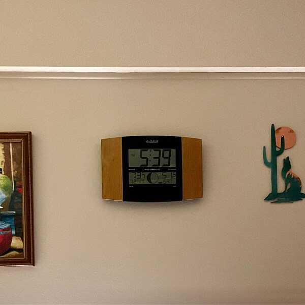 Coppercutts Lizard Family 4.25 X 6 Single Rocker Switch Plate Rustic ...