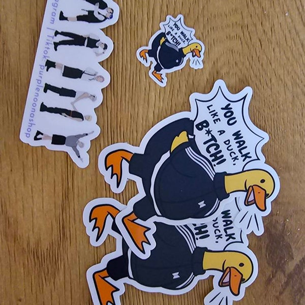 Joonie Duck Sticker: Kpop You Walk Like a Duck B*tch Stickers - Etsy