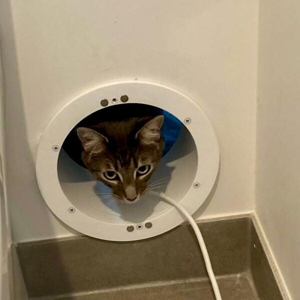 Circle Thru-wall Cat Tunnel - Etsy