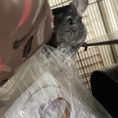 Chinchilla Ringworm Treatment Bath Dust and Spray - Etsy